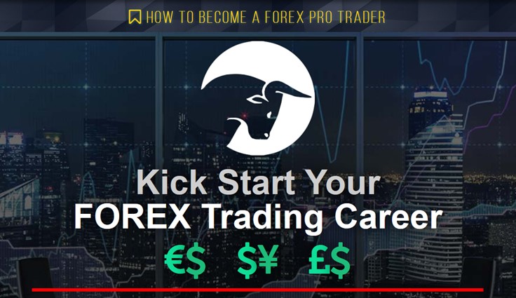 Live Traders – How To Become A Forex Pro Trader - Academun