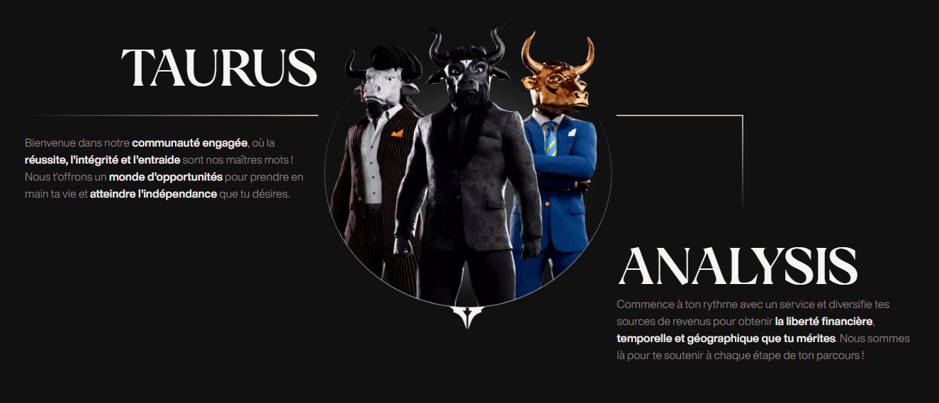 Taurus Analysis - Academun